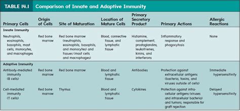 Adaptive Immunity