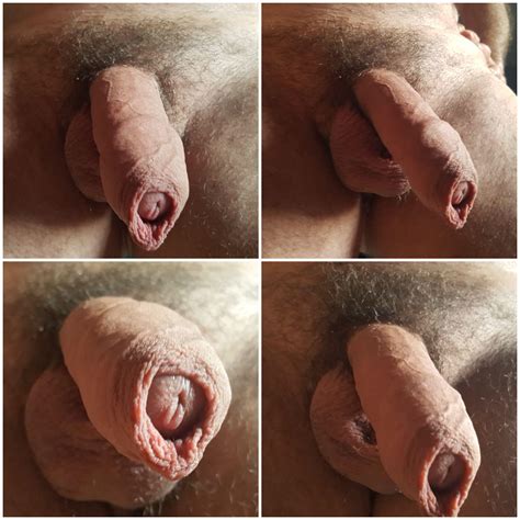 M48 Hairy Flaccid Uncut PENIS 4x Scrolller