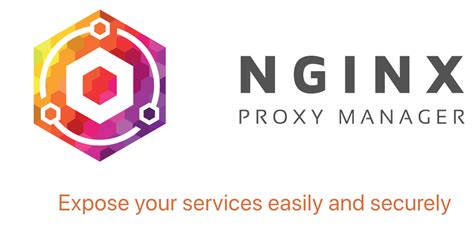 efficient nginx management with docker setting up nginx proxy manager