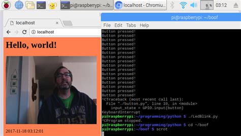 raspberry pi localhost