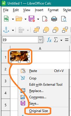 Pictures Viewing Photos In A LibreOffice Calc File Super User