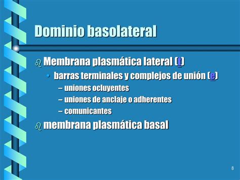 Ppt Tejidos Básicos Powerpoint Presentation Free Download Id6082034