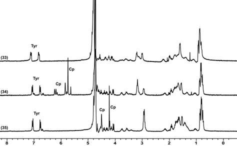 20 1 H Nmr Spectra Of The Peptide 33 And The Cobaltocenium Nt 34 And Download Scientific