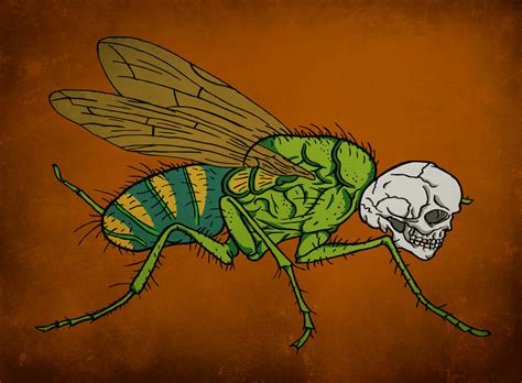 Zombie Fly By Djangocassidy On Deviantart