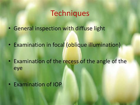 Anterior Segment Examination Pptx