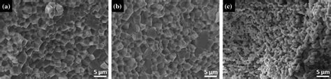 Sem Micrographs Of Fractured Sps Pellets Solgel Powder Sintered At
