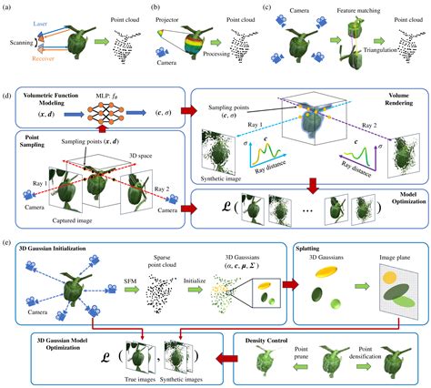 A Survey On 3d Reconstruction Techniques In Plant Phenotyping From