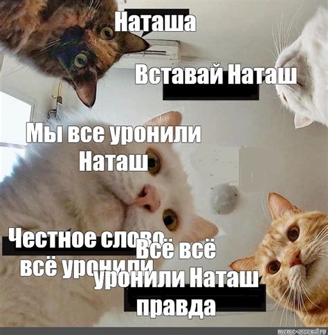 Мем Наташа Вставай Наташ Мы все уронили Наташ Честное слово всё уронили Всё всё уронили Наташ