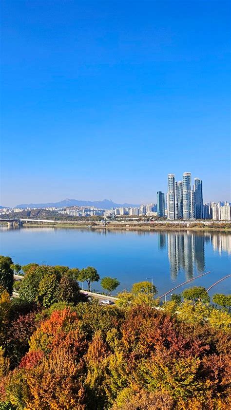 가람리얼티 1600 0630 강남 테라스 고급빌라 도산포도더블랙 가람리얼티 도산포도더블랙 포도더블랙 Instagram