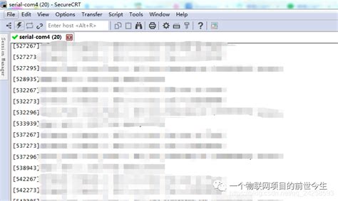 常用工具配置篇1：securecrt日志保存方法 securecrt怎么保存全部串口日志 csdn博客