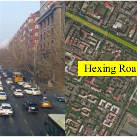 Location And Reality Of Traffic Survey Download Scientific Diagram