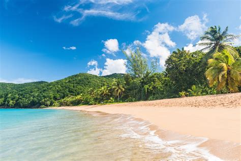 Guadeloupe Travel Guide For Your Holiday In Guadeloupe