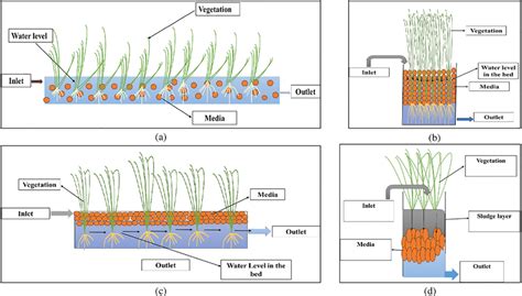 The Design Of The Various Traditional Constructed Wetland A Surface Download Scientific