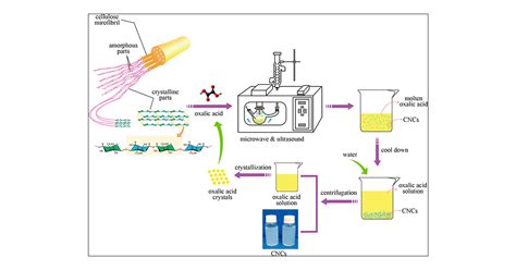 High Yield Synthesis Of Functionalized Cellulose Nanocrystals For Nano Biocomposites Acs