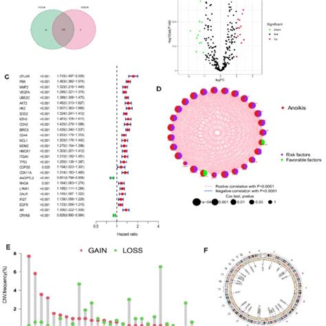A Correlation Between Risk Score And Icb Response Signature And B