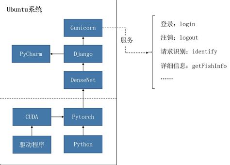 水下鱼类品种识别模型与实时识别系统