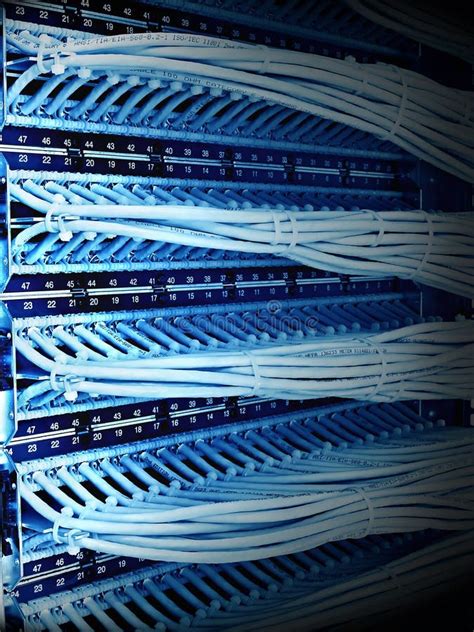 Control Cabinet With Patch Panel Of The 6th Category Blue Tone Stock