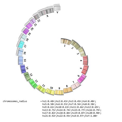 Circos Tutorials Drawing Ideograms Variable Radius CIRCOS Circular Genome Data Visualization