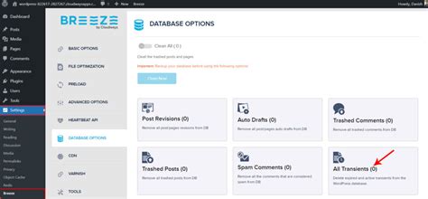 How To Install And Configure WordPress Redis Cache