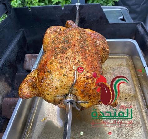 دجاج طازج فروج المتحدة