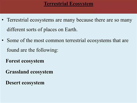 Ecosystem Structure And Types Ecosystem Pdf