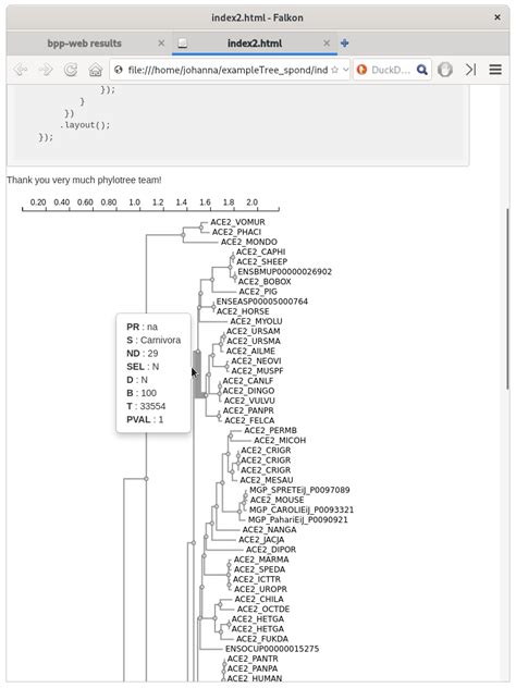 custom information to display in branches · issue 253 · veg phylotree
