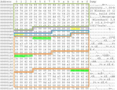 failing forward modifying pcapng file structure using a raw hex editor