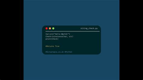 Python Variables Check Whether A Variable Is A String Youtube
