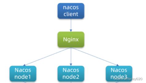Nacos基础（3）——nacosnginx And 集群的配置和启动 And 端口开放 And Nginx反向代理nacos集群nacos