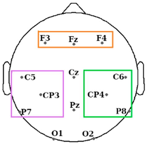 Effects Of Targeted Memory Reactivation On Cortical Networks
