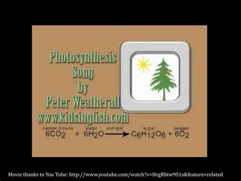 Photosynthesis Ppt Pptx Chemistry Science