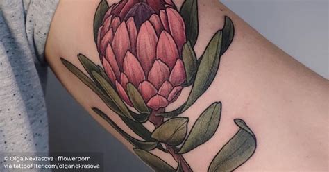 Protea Tattoo