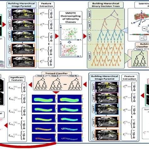 Flow Chart Of The Proposed Framework For Automatically Segmenting Vbs