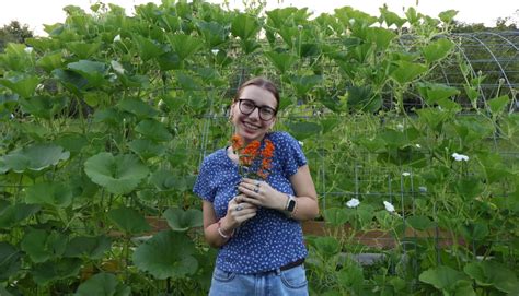 Hannah Mallonee The Blue And White