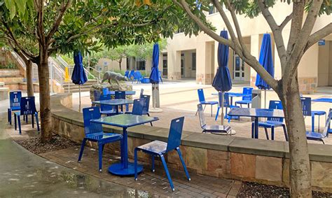 News Enhancing The Campus Environment At Csusm