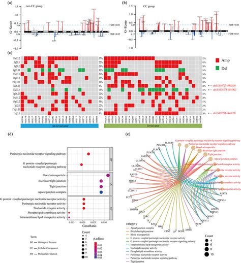 Analysis Of Somatic Cnv A And B The Distribution Of Cnvs On