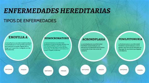 Enfermedades Hereditarias By Annie Trujillo Alejo On Prezi