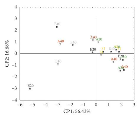 Two Dimensional Representation Loadings Scores Of The Principal