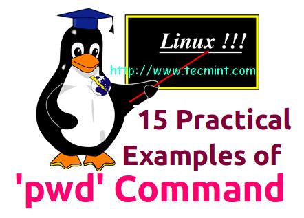 Cd And Pwd Command Examples Network And CyberSecurity Professional
