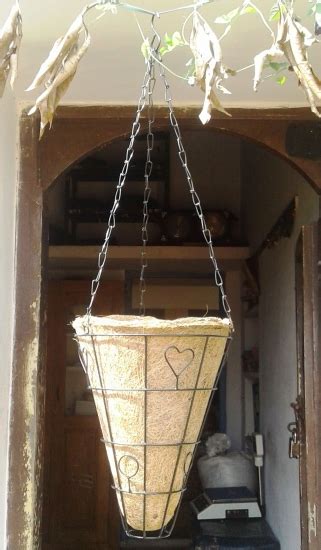 Coco Peet 5kg Coir Pots The Pot Shop Garden Store Vertical Garden Indoor Plants Pot