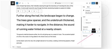 How To Increase Font Size In WordPress Easy Methods White Canvas