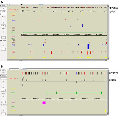 Geb Displays For Tiling Microarray Data A Physical Map Display Of Download Scientific