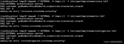 全网最全centos7 9搭建ldap服务器 图形界面 ldap服务器搭建 csdn博客