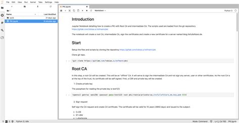pki with openssl howto using jupyter notebook it s full of stars
