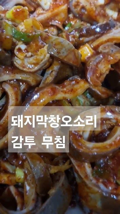 돼지막창 오소리감투무침 아름다운꽃 오징어볶음맛집 Eb 82 98 Ec 97