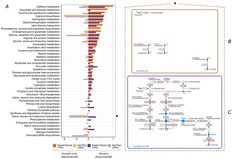 Metabolic Pathway Analysis Advantages And Pitfalls For The Functional