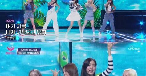 아바드림 woo ah 우아 故김성재 여름 안에서 헌정 무대…채리나·유인나 극찬