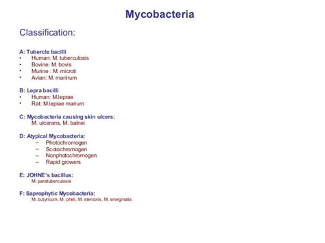Mycobacteria