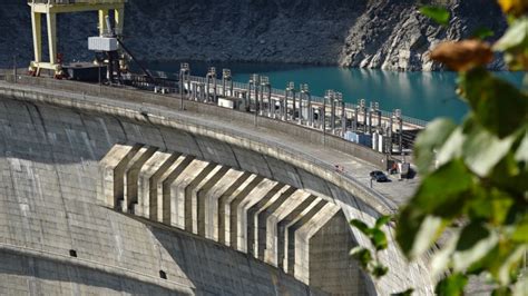 ვიდეოგალერეა