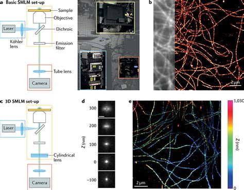 Single Molecule Localization Microscopy Pmc